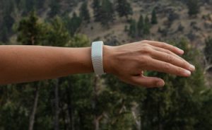 Biostrap Evo | Biostrap