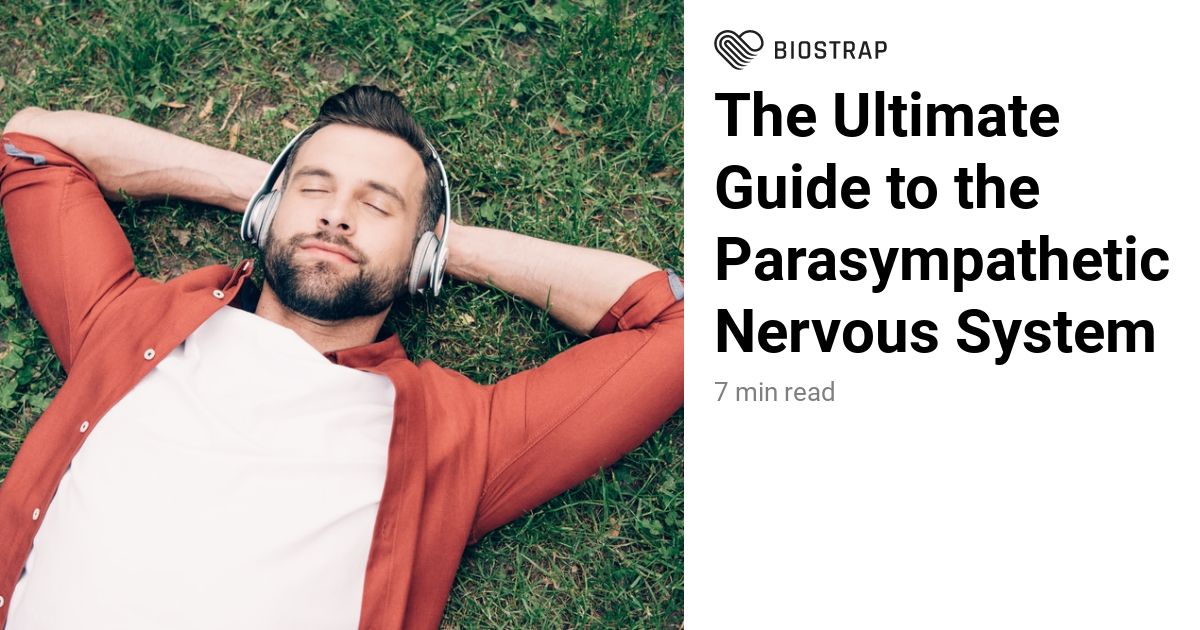 The Ultimate Guide To The Parasympathetic Nervous System | Biostrap