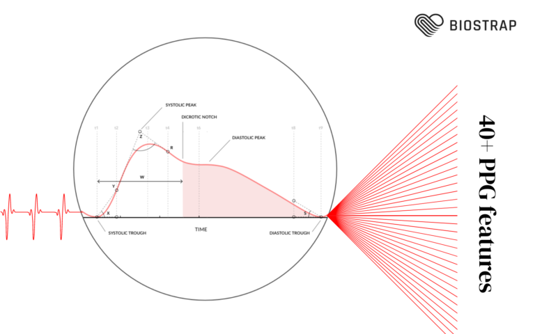 Biostrap Waveshape: Developing Predictive AI-Powered Health Models